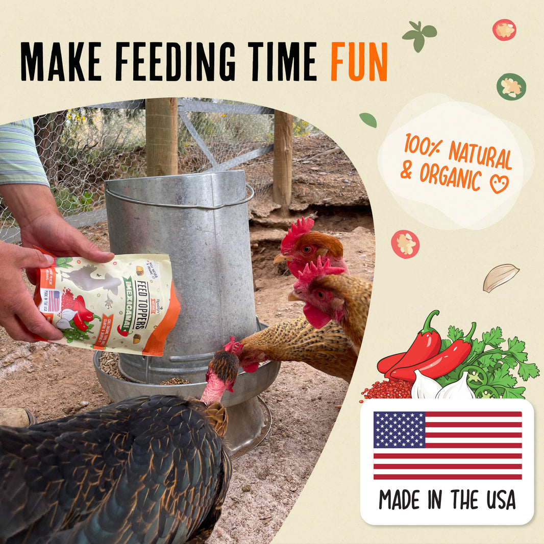 Can Ducks Eat Chicken Feed? A Guide to Feeding Ducks and Their Dietary ...